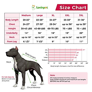 LovinPet Recovery Shirt - Full Coverage Dog's Bodysuit Wound Protective Surgical,E-Collar Alternative Recovery Snugly Suit for Abdominal Wounds After Surgery Anti-Licking Dog Onesies,Short Legs,XL