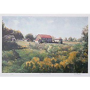 Looking Across the Field