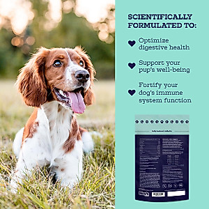 Moe's Healthy Pets Prebiotic and Probiotic for Dogs - Dog Probiotics for Digestive Health and Vitality - Probiotic Chews for Dogs with Pumpkin Flavor - Fiber Supplement for Gut Health for Dogs