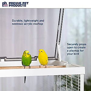Prevue Pet Products Clear View Glass Bird Cage Crystal Palace for Small Birds - White Frame