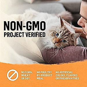 Purina Beyond Organic Wet Cat Food Pate, Organic Chicken & Carrot Adult Recipe - (12) 3 oz. Cans