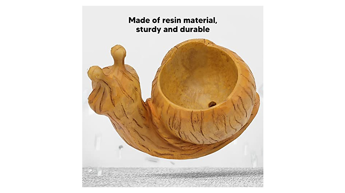 Cute Snail Succulent Flower Pots for Home & Office