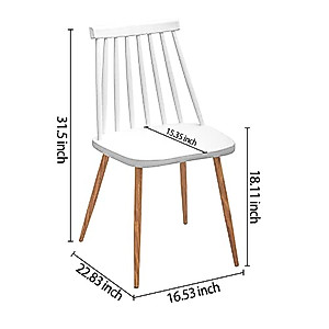 CangLong Spindle Plastic Seat and Back with Metal Leg Side Dining Chair (Set of 2), White