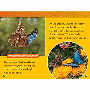 Animals That Change Color (National Geographic Kids Readers, Level 2)