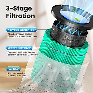 MORENTO 1 Pack MR2566 Genuine Air Purifier Replacement Filter for MR2566 Air Purifier, Pet Dander Version