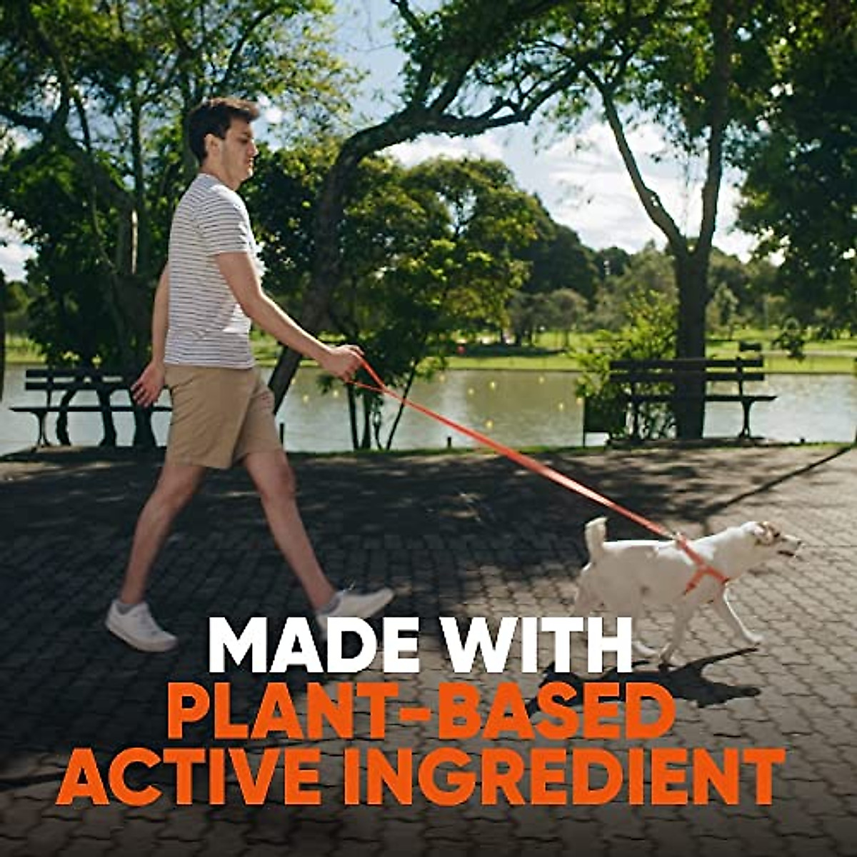 OFF! Botanicals Insect Repellent Wipes, Plant-Based Mosquito Repellent, 10 Count Individually Wrapped Wipes