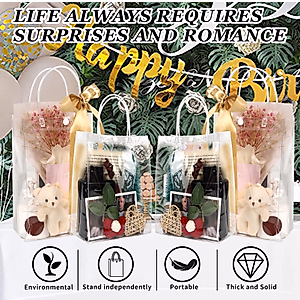 zandfelo 20 Pcs Clear Gift Bags with Handle, Clear Goodie Bags Plastic Gift Bags, Reusable Transparent PVC Gift Wrap Tote Bag for Gift Wrapping (clear, 8x10x3.2)