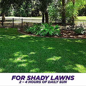 Pennington One Step Complete Dense Shade 5 lb, White