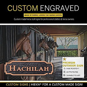 Acrylic Horse Stall Name Plate, 2.4" x 8" Personalized Stall Signs, UV Protected, Custom Pet Name Sign, All Weather Adhesive, Mounting (Antique Copper, Style 2)