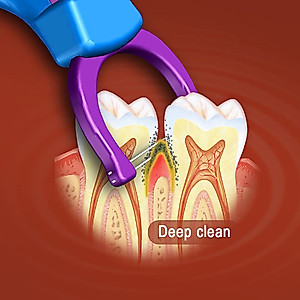 T.Smile Evolutionary Clean Dental Flossers, Kit of Refills Plus Long Handle (2 Handles + 200 Refills)