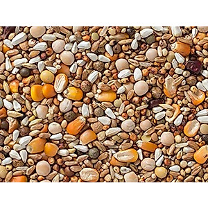Premium 22 Pigeon Mix (13.25%) 20 lbs