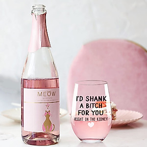 Best Friend, Friendship Gifts for Women - I'd Shank A Bitch for You Right Funny Best Friend Birthday Gifts for Women, Her, Unique Gifts Ideas for Women, Friends Female, BFF, Bestie, Sister, 17 oz