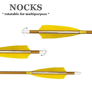 M.SJUMPPER ARCHERY 500 Spine Carbon Arrows with 4 Inch Feathers Fletching for Compound Recurve Bows (12 Pack)