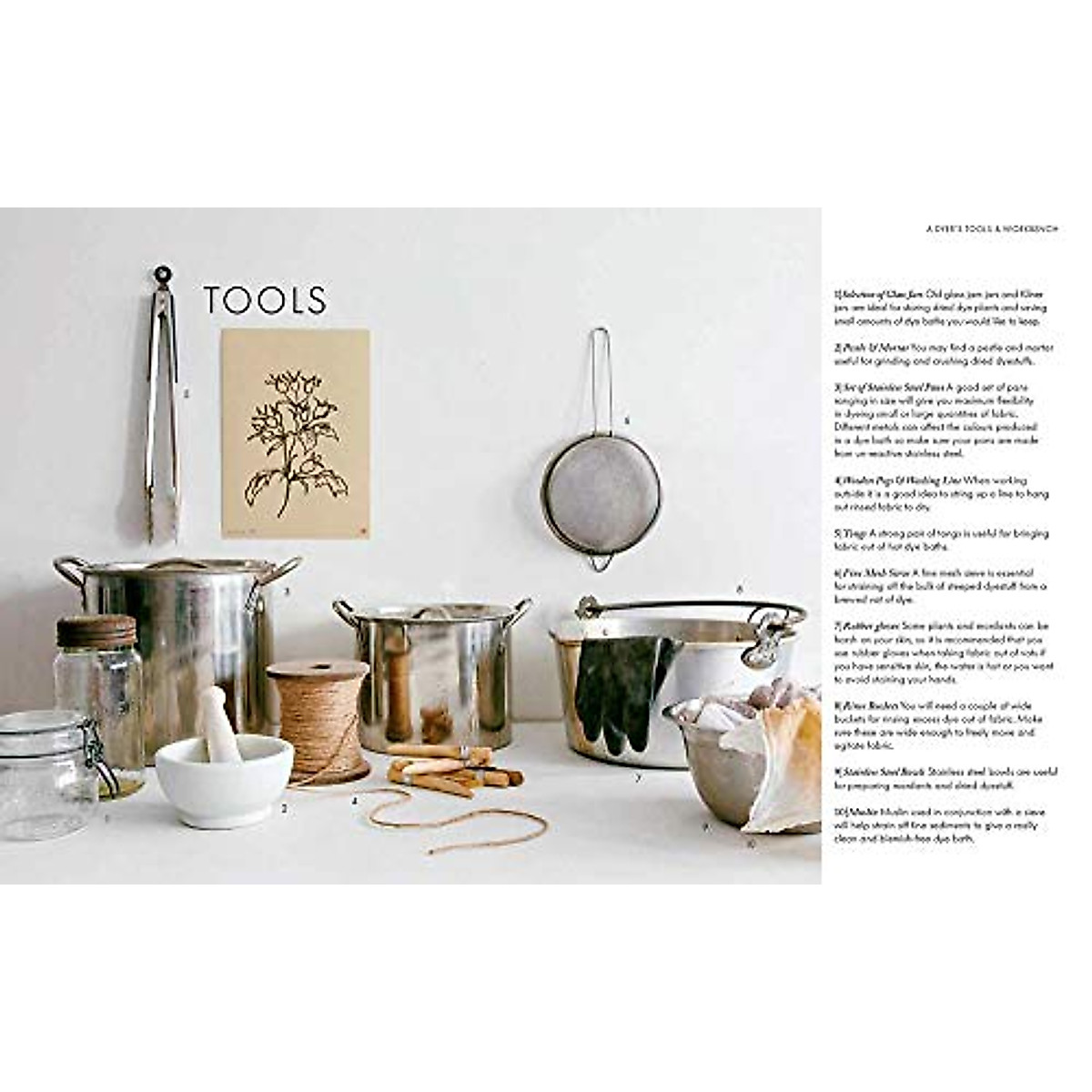 The Wild Dyer: A Maker's Guide to Natural Dyes with Projects to Create and Stitch