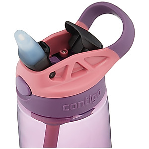 Contigo CLEANABLE 14OZ PP Eggplant Punch Waterbottle