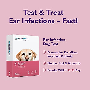 MySimplePetLab Dogs Ear Infection Test Kit | Fast and Accurate Detection of Yeast and Other Ear Irritations| Reliable Mail-in Dog Ear Care Test for Smelly, Itchy, or Sore Ears