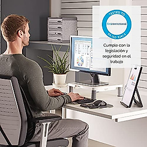 Fellowes Standard Monitor Riser (91712), Platinum/Graphite