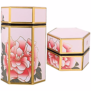 BESTonZON Christmas Cookie Jars 2 Pcs Metal Food Storage Tin Canister Vintage Cookie Jar with Lid Candy Tea Container Snack Food Storage Jar for Home Kitchen Cookie Tins