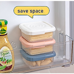 2 Pack-Plastic Cheese Storage Containers with Lids Airtight,Cheese Slice Storage, Keeps Cheese Fresh and Delicious Cheese Container for Fridge (Blue)