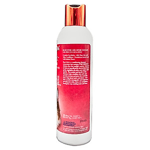 Bio-Groom Flea & Tick Dog Shampoo – Flea and Tick Prevention for Dogs, Cat Flea Treatment, Cruelty-Free, Made in USA, Natural Tick Repellent, Protein-Lanolin Shampoo – 8 fl oz 1-Pack