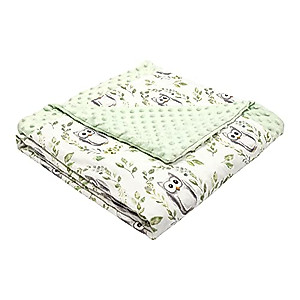 Owl Leaf Wreath Printed Baby Receiving Blanket,29.5" x 47.2" Plush Blanket with Double Layer Dotted Backing, Cozy Minky Fleece Blanket Reversible Newborn Boys Girls Nursery Stroller Crib Baby Blanket