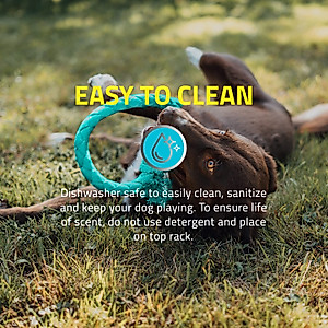 Playology Dri-Tech Ring Peanut Butter Dog Toy Large