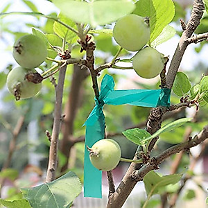 RayLynn Products Vinyl Garden Stretch Tie Tape (2 Rolls 1/2" by 150')