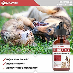 Dog UTI Treatment | Cat UTI Medicine | Cat UTI Remedy | Cranberry Supplement for Dogs | Pumpkin for Cats | Dog UTI | Cat UTI | Cranberry for Dogs | Cat Urinary Tract Infection Treatment | 1 fl oz