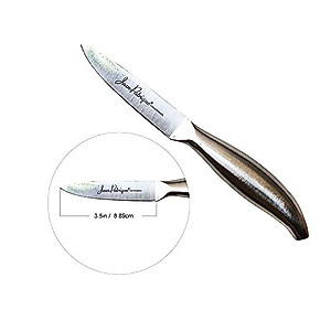 Jean-Patrique Paring Knife Kitchen 3.5 inches | Professional Chef's Small Pairing Knife Kitchen with Straight Edge Fruit Knife Made from High Carbon Stainless Steal Handle