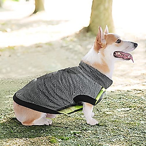 Black Zen Basalt Stones with Dew Green Bamboo on Dark Pet Winter Vest Coat with Hanging Holes, Windproof Fleece Extra Warm Dog Cat Jacket Sweater Clothes Apparel for Cold Weather XXS
