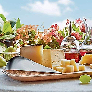 Alessi "Antechinus" Cheese Knife in Steel Aisi 420 Mirror Polished, Silver