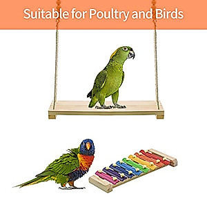 Chicken Swing Toys and Chicken Toys Xylophone, 2 Pack Chicken Toys for Poultry Run Rooster Hens Chicks Pet Parrots Macaw Entertainment Stress Relief for Birds
