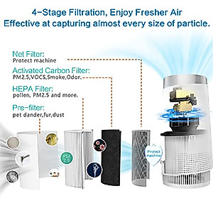 TREDY HEPA Filter Air Purifier for Home Large Room, H13 True HEPA Filter for Smoke, Dust, Hair, Pet Dander, Pollen, Ozone Free, Quiet, TD-1300