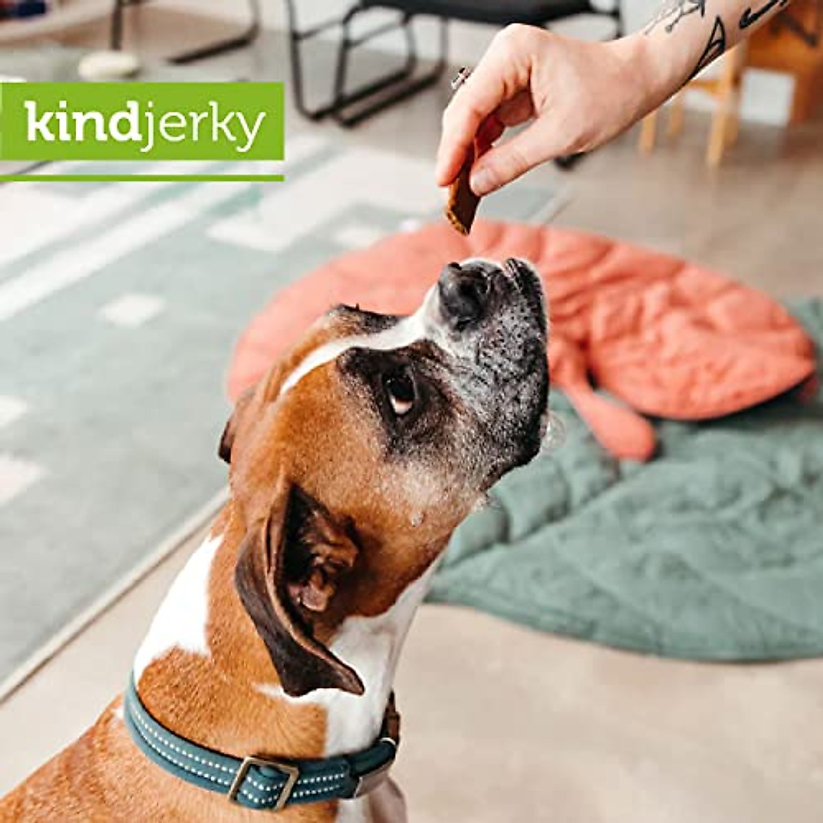 V-Planet Kind Jerky - 100% Vegan Jerky Dog Treats - Plant Based Protein and Superfoods - 8 Ounce - All Natural - Made in The USA