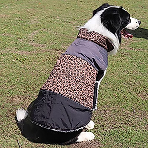 HonpraD Pet Clothes for Small Dogs Reflective Waterproof Pet Coat Winter Warm Dog Coat for Small Medium Large Dog
