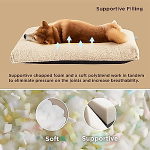 Lesure Dog Bed for Crate - Shredded Chopped Foam Dog Mat for Small Dogs, Pet Mattress with Waterproof Washable Faux Linen Cover, Beige