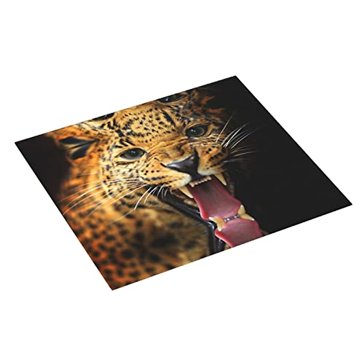 Leopard Printed Drying Mat For Kitchen Ultra Absorbent Microfiber Dishes Drainer Mats Non-Slip Silicone Quick Dry Pad - 18 X 16inch
