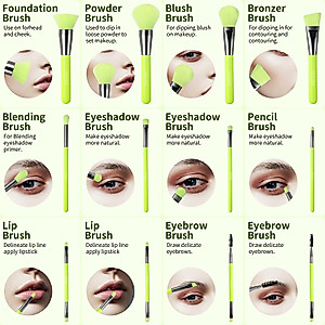 Docolor Makeup Brushes 10Pcs Makeup Brush Set Premium Synthetic Powder Kabuki Foundation Contour Blush Concealer Eye Shadow Blending Liner Make Up Brush Kit Neon Green