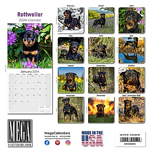 2023 2024 Rottweiler Calendar - Dog Breed Monthly Wall Calendar - 12 x 24 Open - Thick No-Bleed Paper - Giftable - Academic Teacher's Planner Calendar Organizing & Planning - Made in USA
