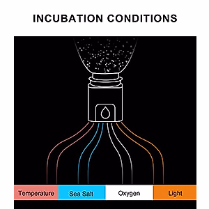 Clscea Aquarium DIY Brine Shrimp Incubator Hatchery Kit Simple