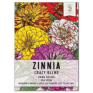Seed Needs, 1,000+ Crazy Blend Zinnia Seeds for Planting (Zinnia Elegans) Heirloom, Open Pollinated & Untreated - 15+ Varieties of Zinnia Flowers, Zinnia Mix - Bulk