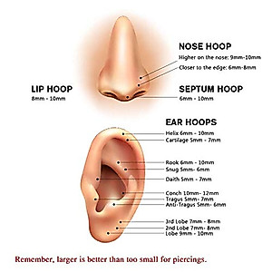 PEAKLINK 16G Septum Clicker Ring Conch Hoop Ring Surgical Steel Daith Earrings Clicker Nose Ring Helix Hinged Segment Ring Conch Ring Silver Cartilage Lobe Lip Tragus Piercing Jewelry 6mm