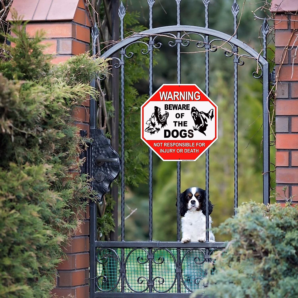 Beware of Dog Sign Reflective Highly Visible 12x12" Dog Warning Signs Beware of The Dogs Aluminum Warning Sign,2 Pack, Not Responsible for Injury Or Death , Business, Driveway Alert