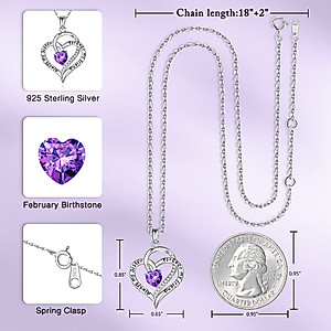 Sisters Gifts from Sister, 925 Sterling Silver Birthstone Necklace for Sister Jewelry Mothers Valentines Day Gifts for Sister Christmas Birthday Gifts for Sister February Birthstone Amethyst Necklace