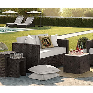 Caroline's Treasures DAC2443PW1818 Welsh Springer Spaniel Christmas Flowers Throw Pillow Machine Washable, Indoor Outdoor Decorative Pillow for Couch, Bed or Patio, 18Hx18W