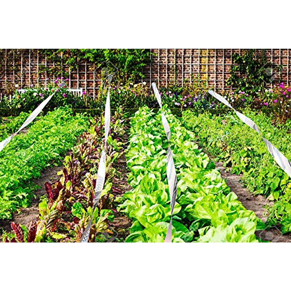 EACILLES Holographic Reflective Bird Scare Ribbon, 2in by 330ft