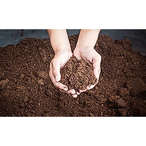 Sphagnum Peat Moss for Gardening (1 Quart)