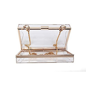 Nodykka Clear Purses and Handbags Crossbody Bags Clutch Purse Sport Events Stadium Approved Shoulder bag for Women(Gold)