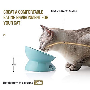 SWEEJAR Ceramic Raised Cat Bowls, Slanted Cat Dish Food or Water Bowls, Elevated Porcelain Pet Feeder Bowl Protect Cat's Spine, Stress Free, Backflow Prevention (Turquoise)