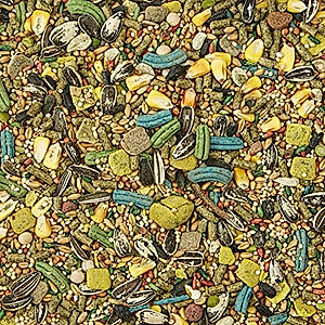 Kaytee Forti-Diet Pro Health Pet Hamster & Gerbil Food, 3 Pound